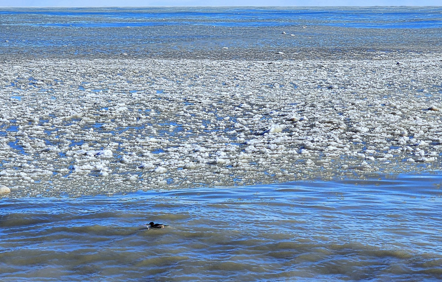 Need a Great Ice Breaker? Take a Look at Lake Michigan! – The Chicago Files
