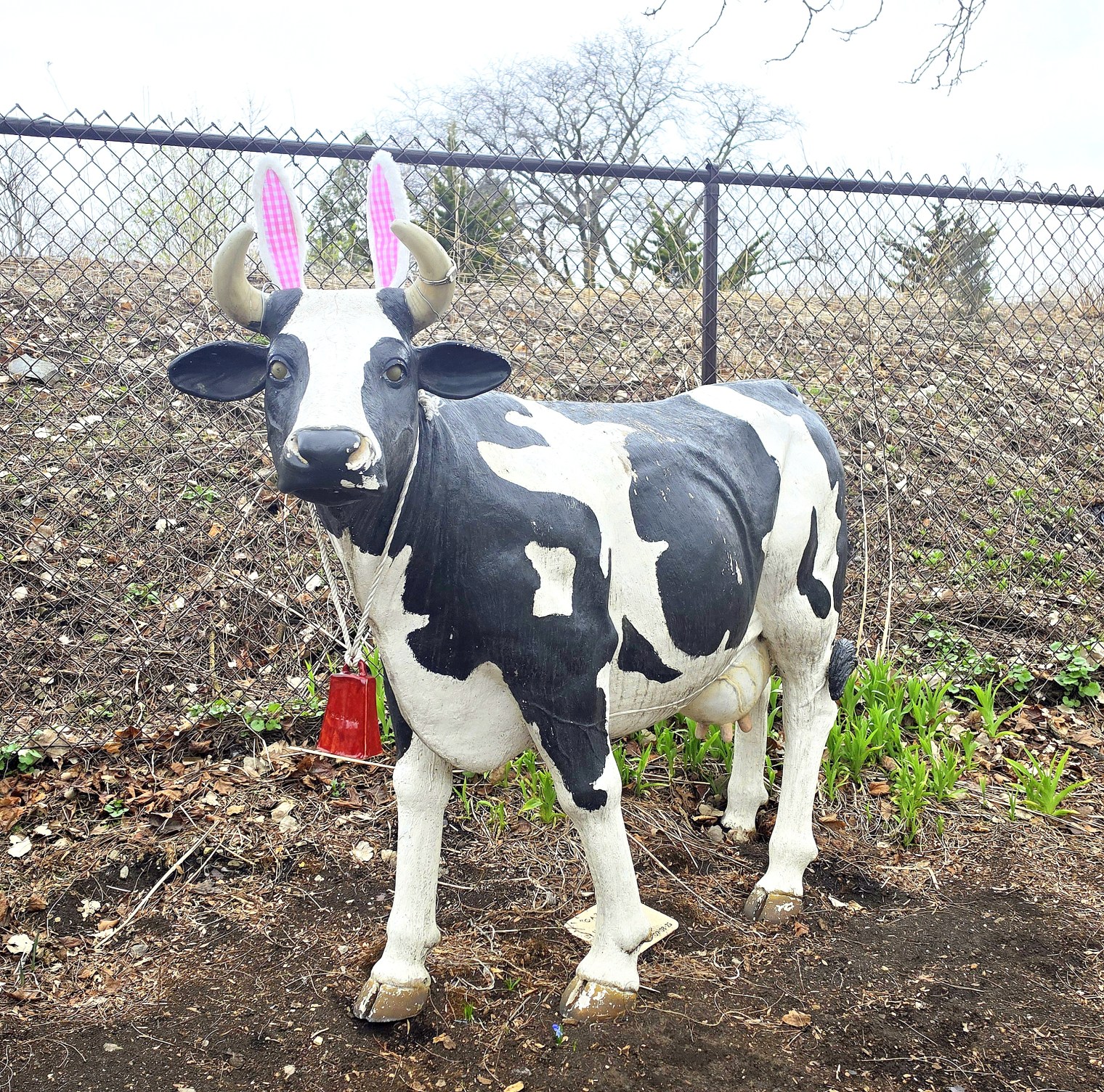 A Wee Chicago Wander Yields a ‘Mooving’ Surprise: Meeting ‘Carmen’ the ...